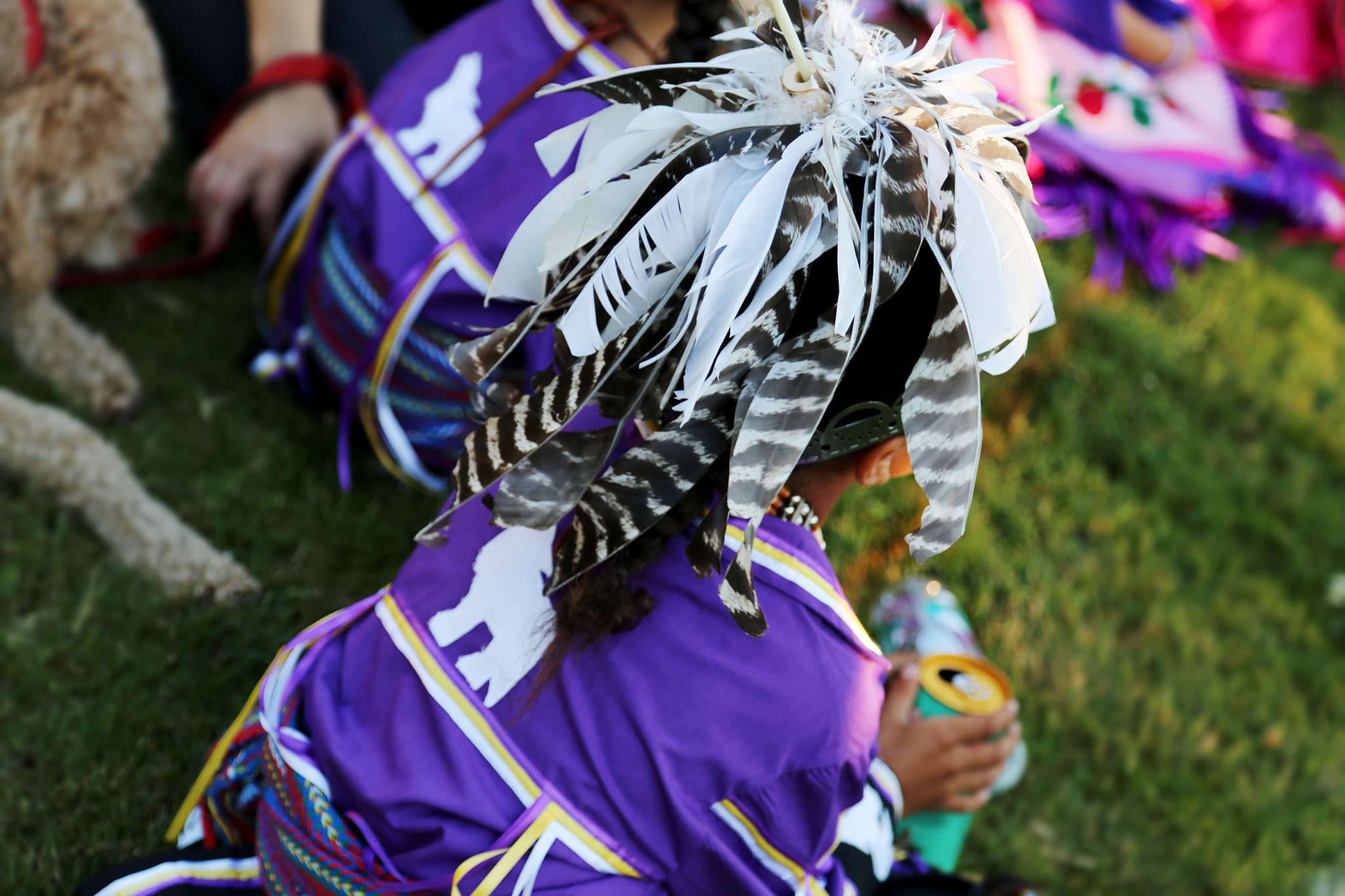 About Us - Seneca Environmental Renewable Energy Solutions