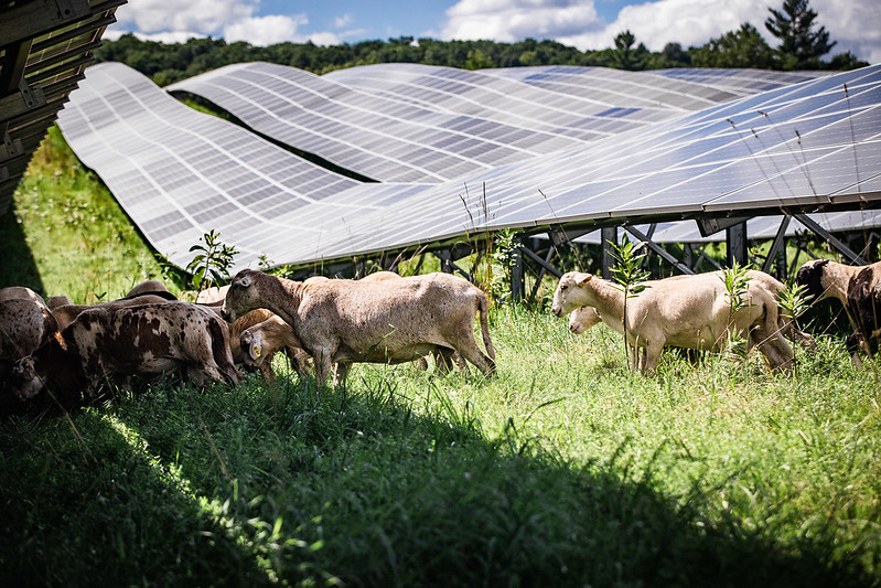 Projects and Clients - Seneca Environmental